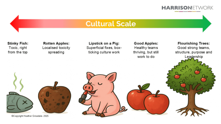 Culture Scale - Harrison Network